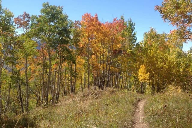 8 Best Colorado Hiking Trails 2026: Unforgettable Adventures | Colorado ...