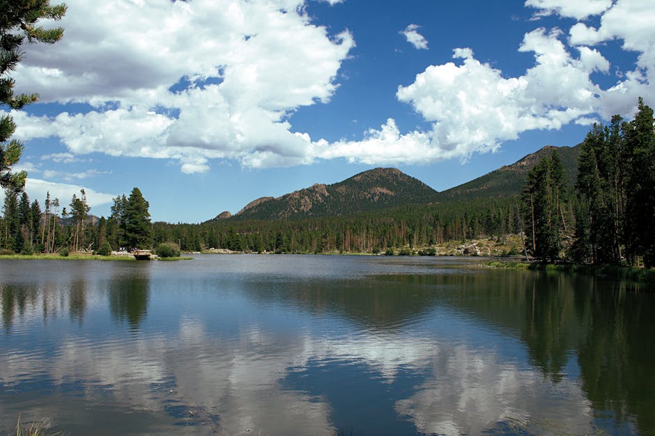 Rocky Mountain National Park: The Complete Hiking and Visitor Guide for ...
